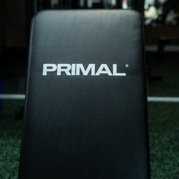 Primal Personal Series Flat Folding Adjustable Bench – Primal Strength