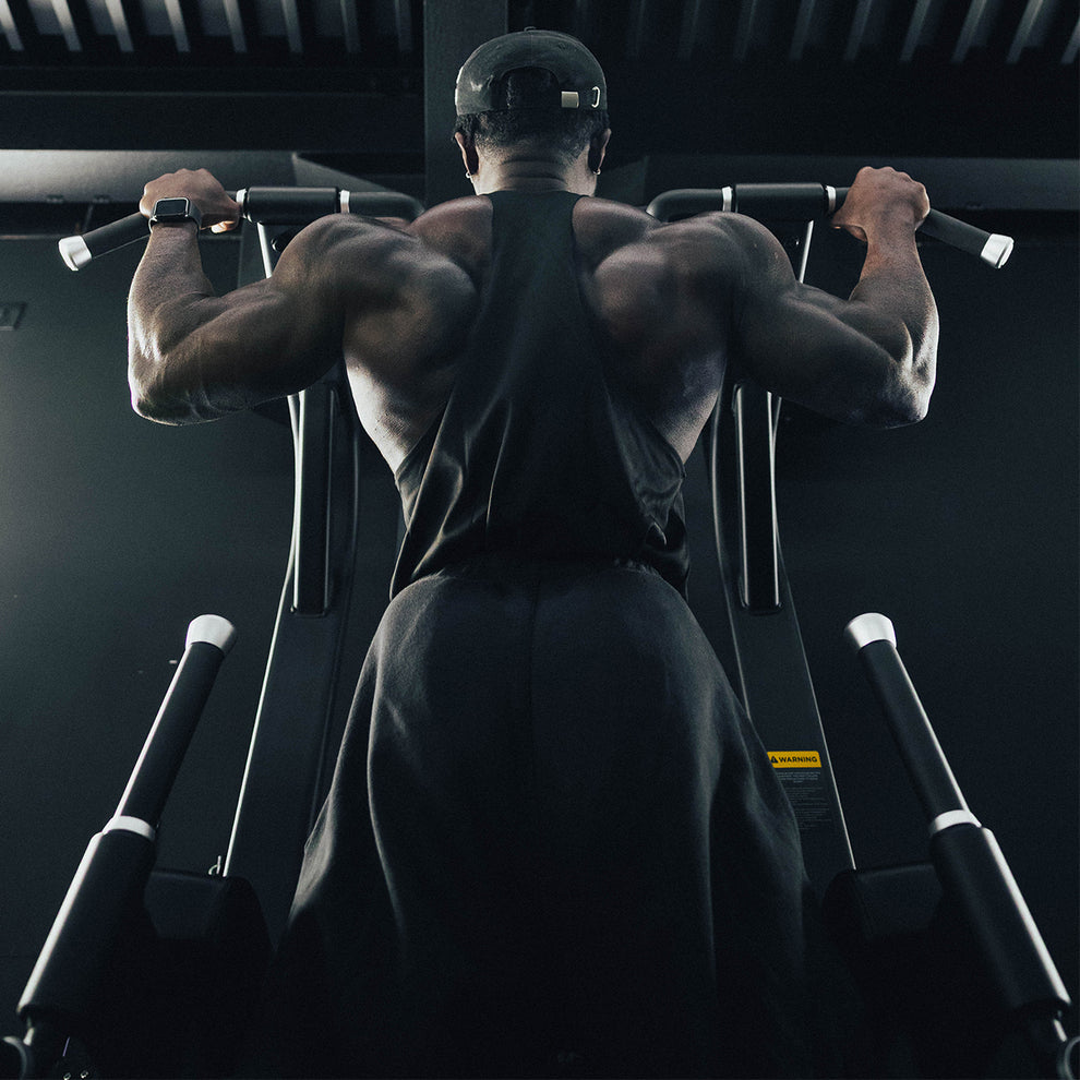 Primal Performance Series Club Chin/Dip Frame – Primal Strength