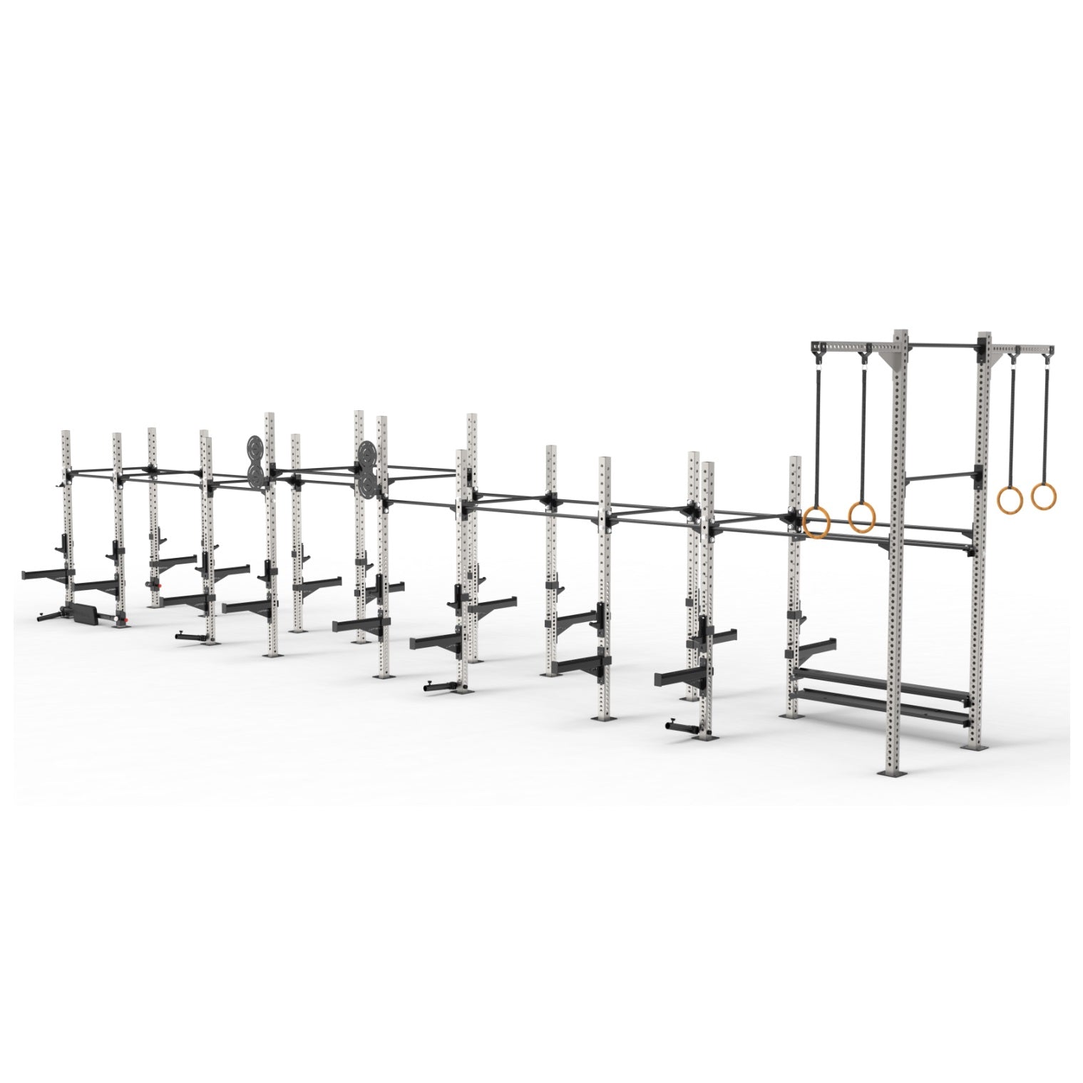 Primal Performance Series PXD Training Rig - 10 Station – Primal Strength