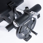 Primal Pro Series Plate Loaded Leg Extension & Prone Leg Curl – Primal ...