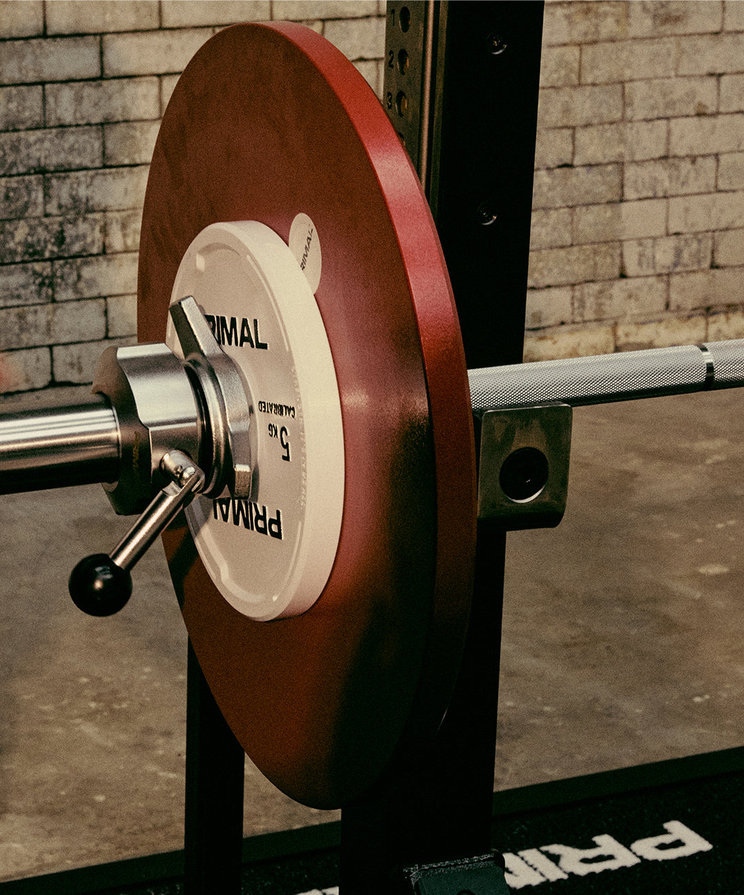 Specialist Gym Bars | Weight Bars – Primal Strength