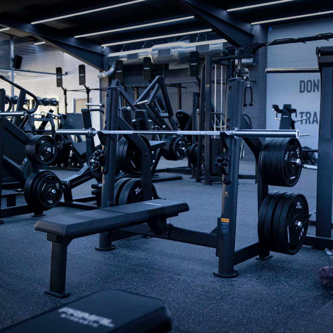 Commercial Incline Olympic Gym Bench – Primal Strength